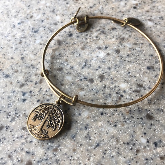 Alex and Ani | Jewelry | Alex And Ani Tree Of Life Bracelet | Poshmark